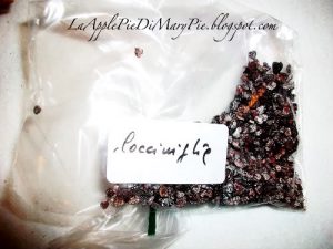 E120 cocciniglia colorante naturale